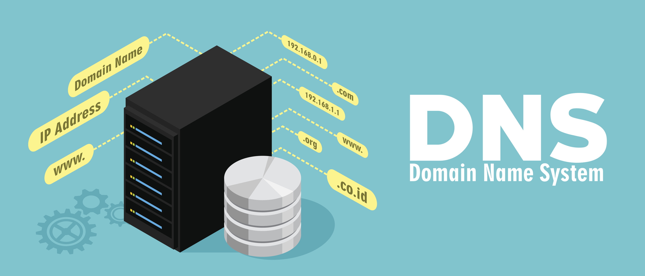 ¿Cuál es mejor DNS? ¿Google o Cloudflare? ¿Cuál es mejor DNS? ¿Google o Cloudflare?
